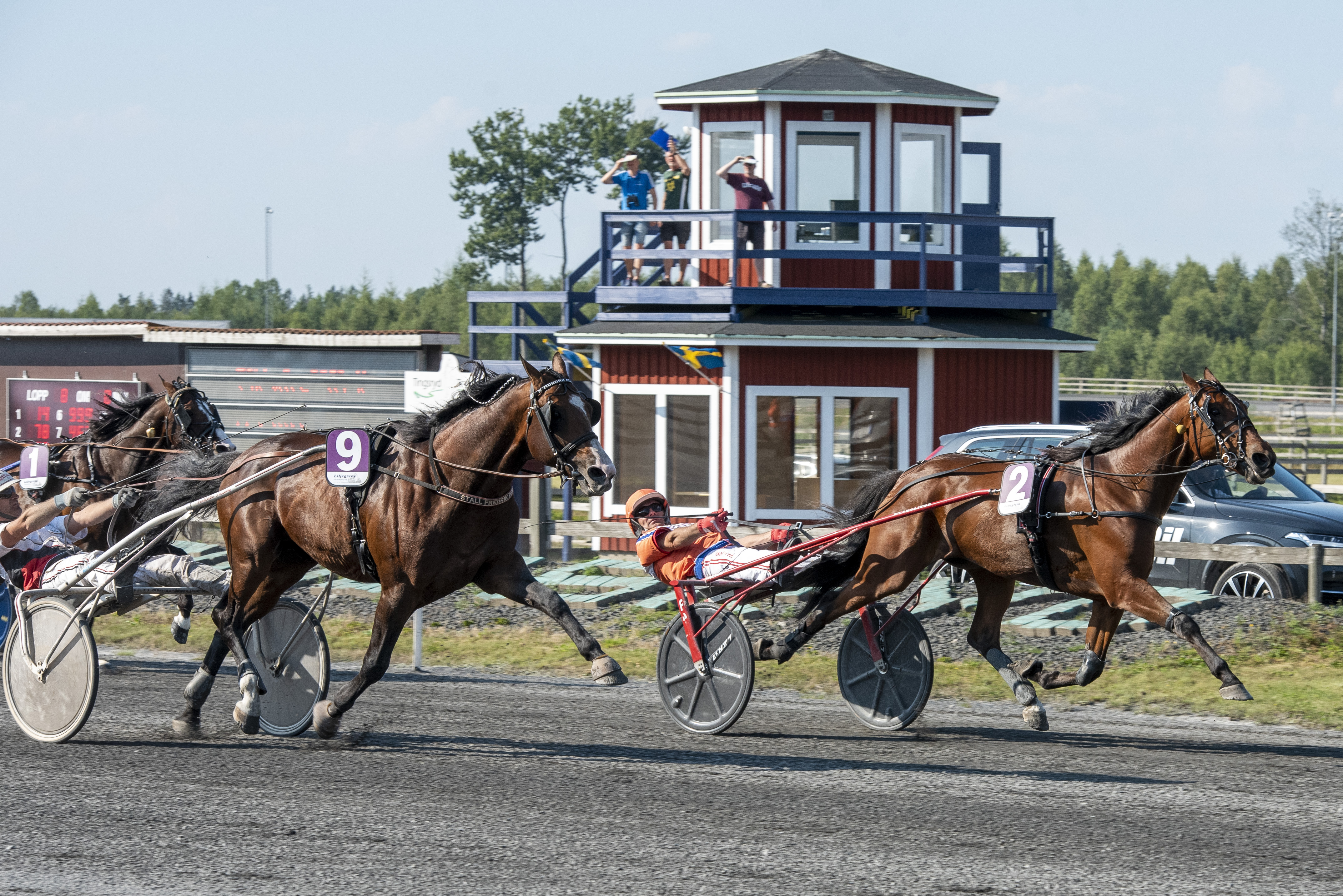 V75 Till Tingsryd 2024